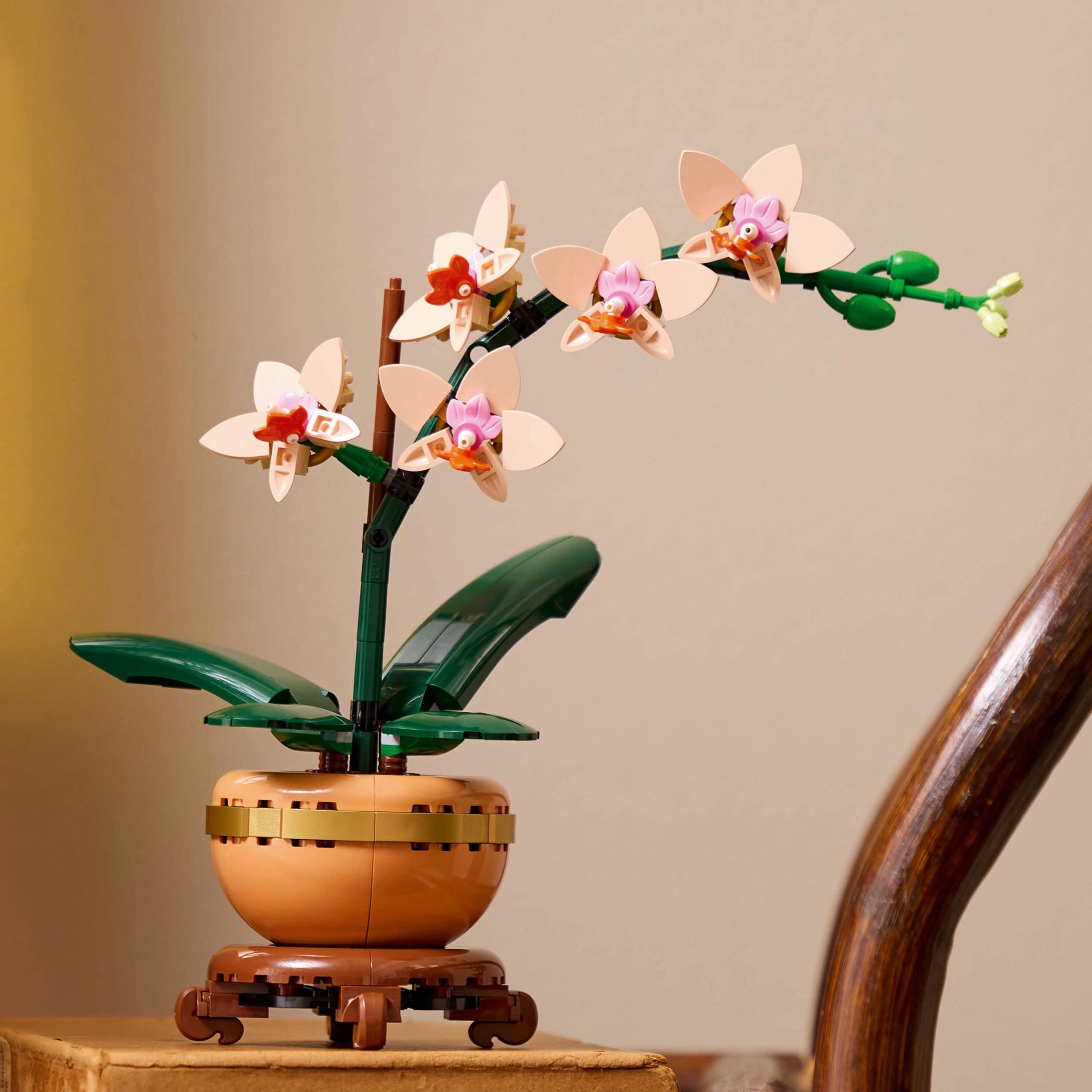 Zestawy LEGO Botanicals już od 74,99 zł w Media Expert. Klon palmowy ...