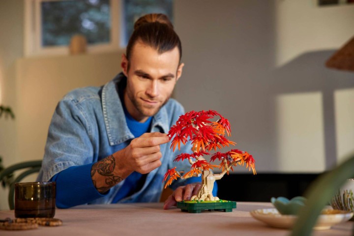 Zestawy LEGO Botanicals już od 74,99 zł w Media Expert. Klon palmowy ...
