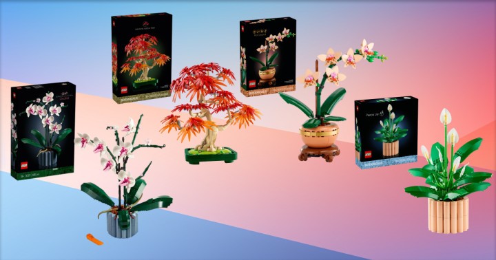 Zestawy LEGO Botanicals już od 74,99 zł w Media Expert. Klon palmowy ...